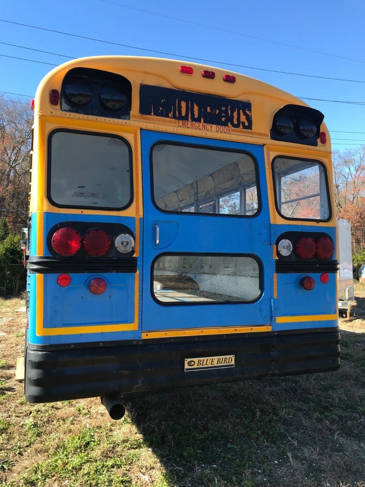 2001 Blue Bird School Bus @ Buses for sale
